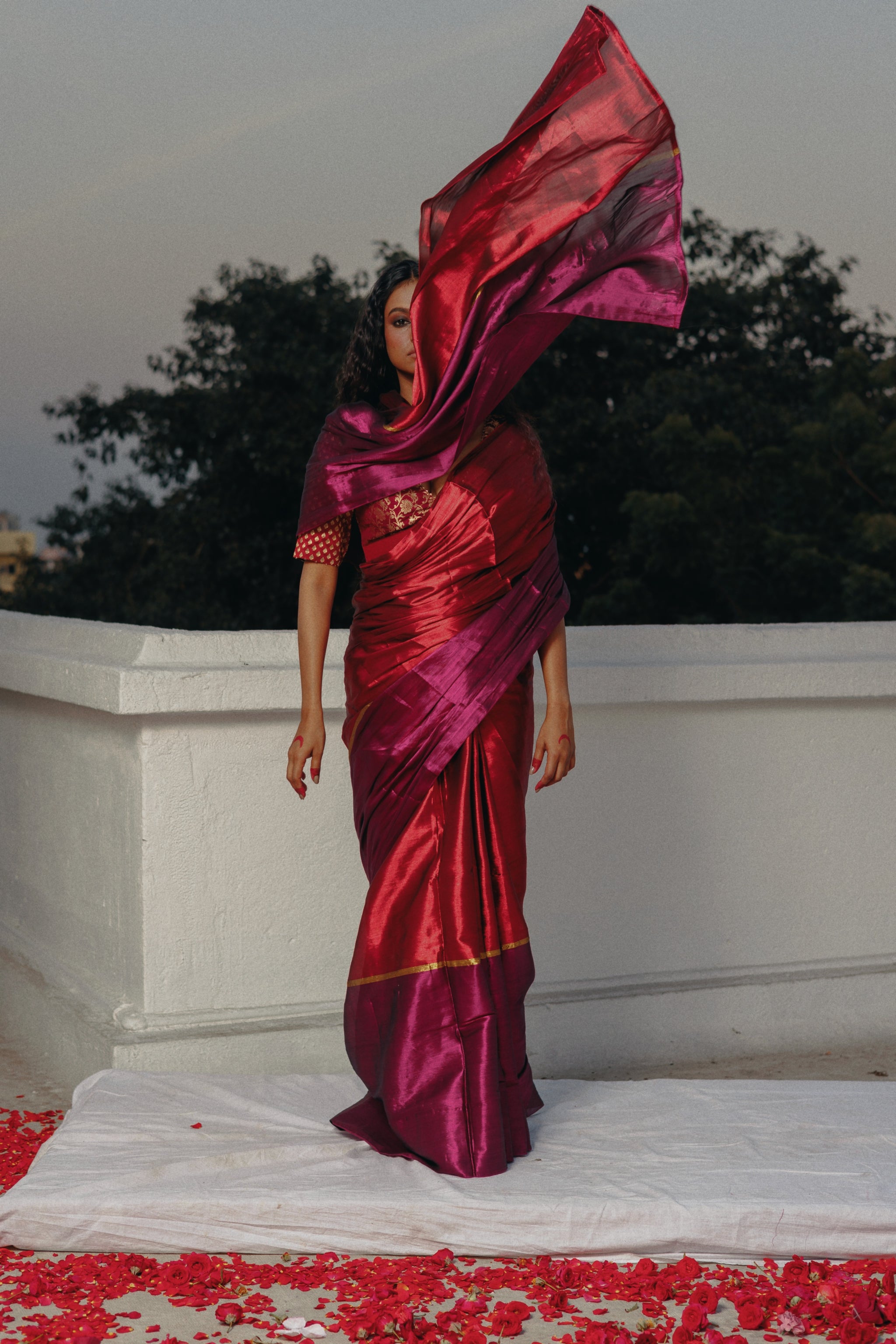 Buy Red and Purple Stripe Tissue Saree Online | Huts & Looms