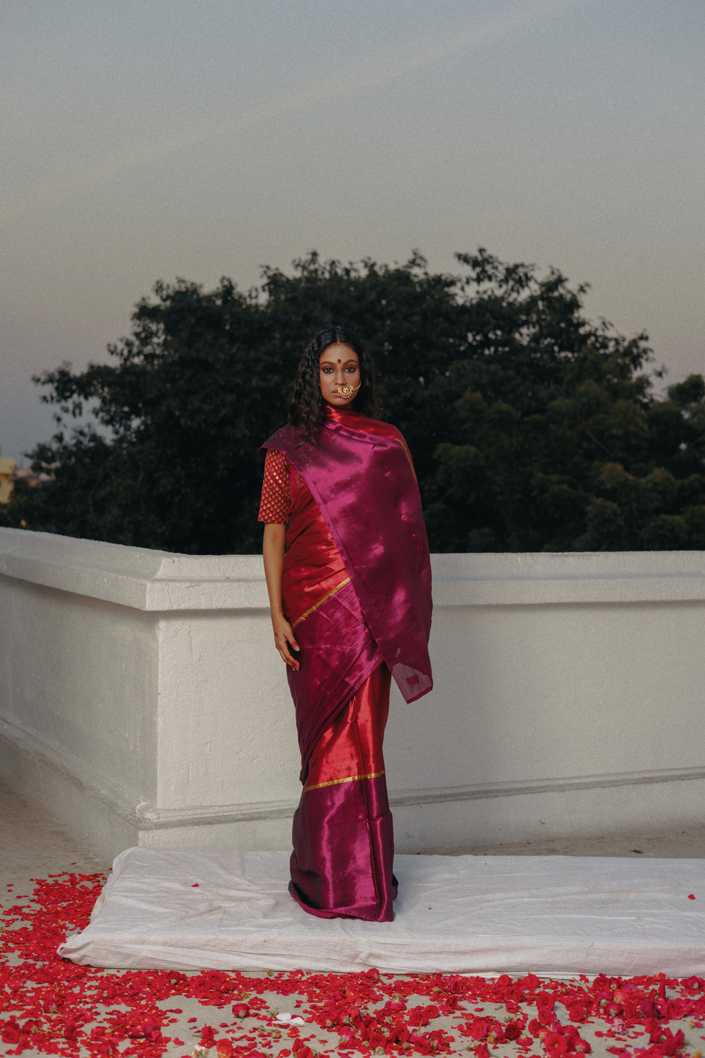 Buy Red and Purple Stripe Tissue Saree Online | Huts & Looms